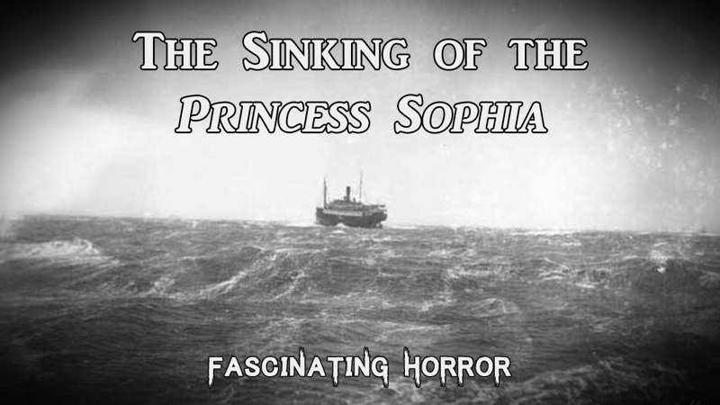 The Sinking Of The Princess Sophia By Fascinatinghorror From Patreon Kemono
